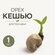 Орех Кешью для посадки