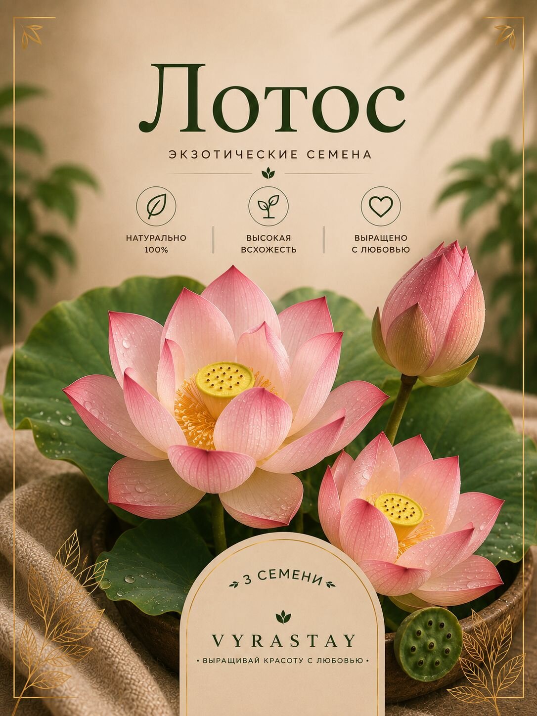 Лотос (водяная лилия) живой аквариум, микс цветов, семена 5 штук
