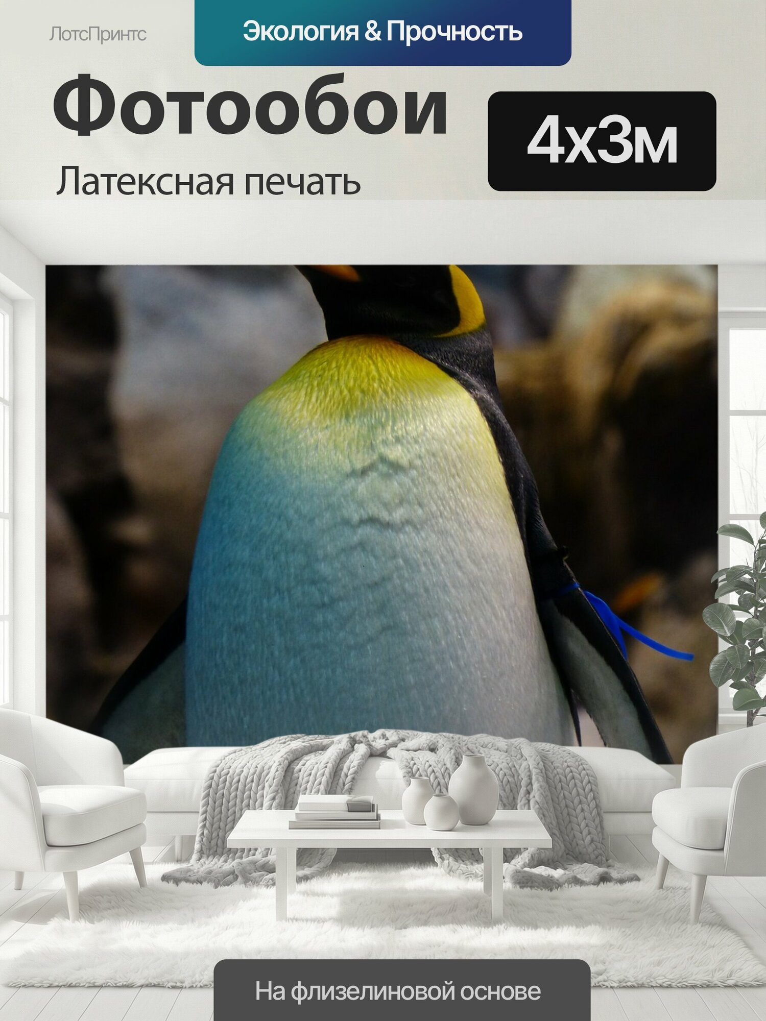 Фотообои моющиеся ударопрочные "Королевский пингвин, пингвин, aptenodytes patagonicus" 400x300 см. латексная печать