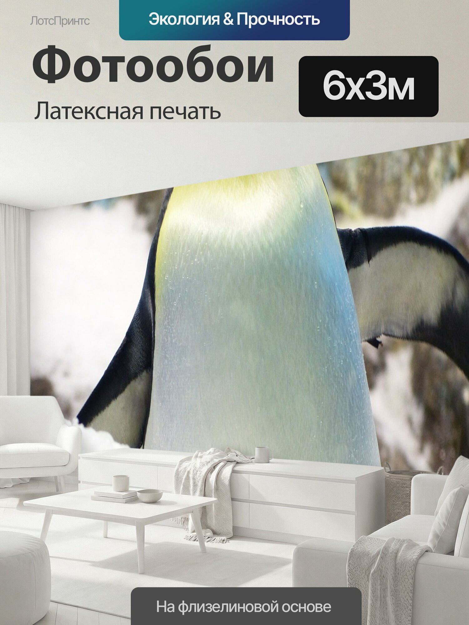 Фотообои моющиеся ударопрочные "Королевский пингвин, пингвин, aptenodytes patagonicus" 600x300 см. латексная печать