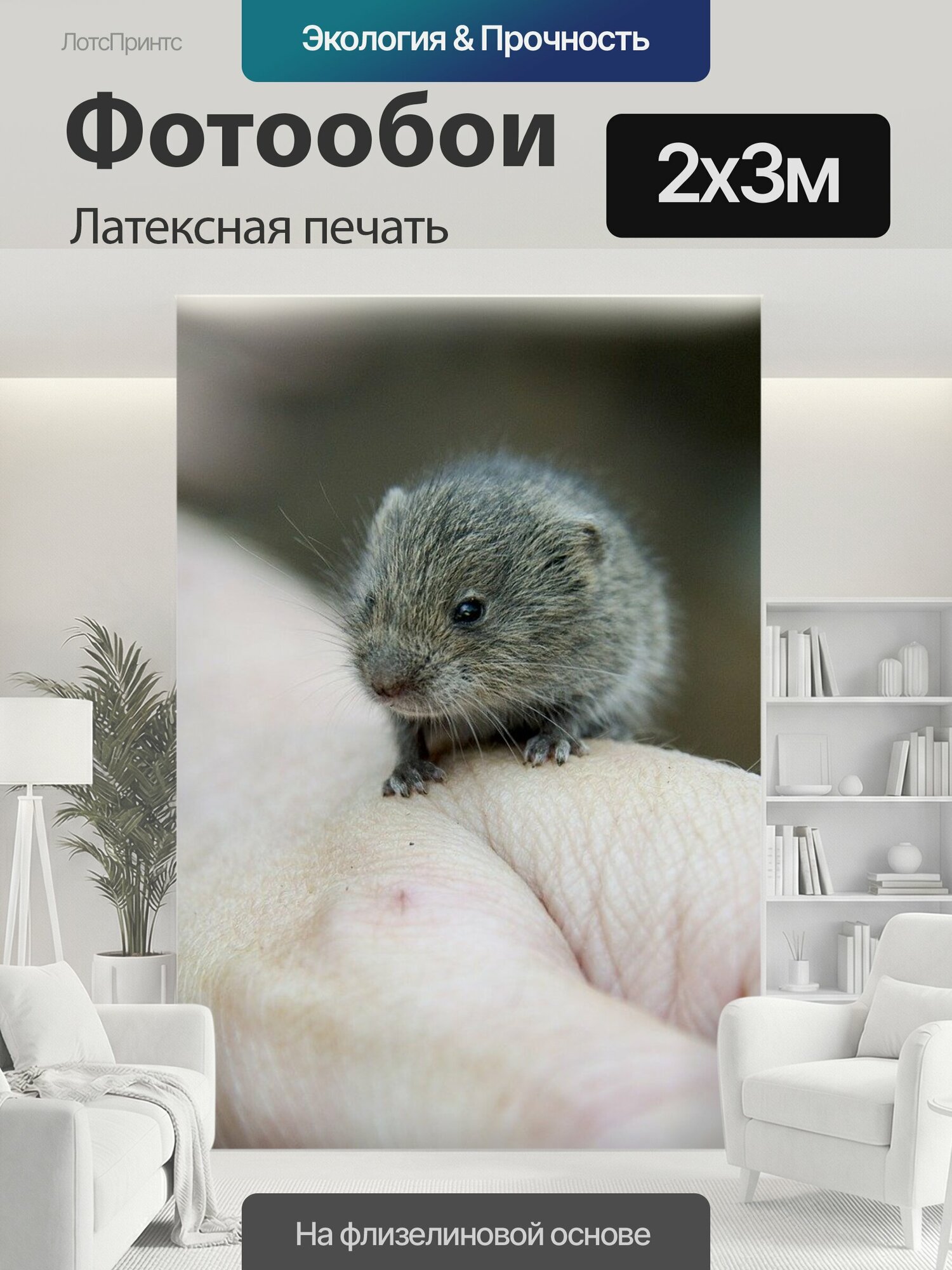 Фотообои моющиеся ударопрочные "Полевка, грызуны, хомяковые" 200x300 см. латексная печать