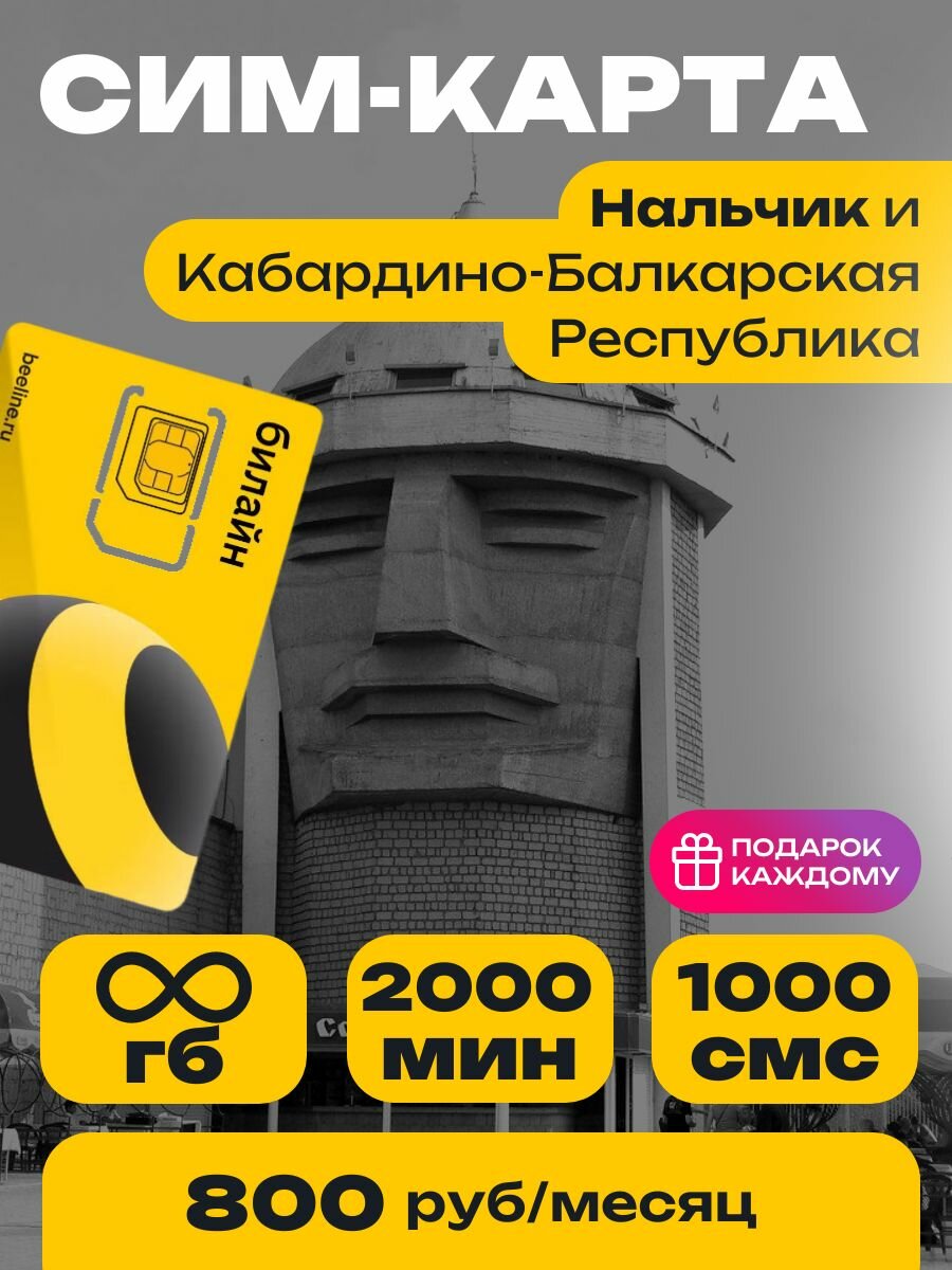 Сим-карта Билайн тариф Супер Выгодный Кабардино-Балкарская Безлимитный интернет и 2000 минут за 800 руб.
