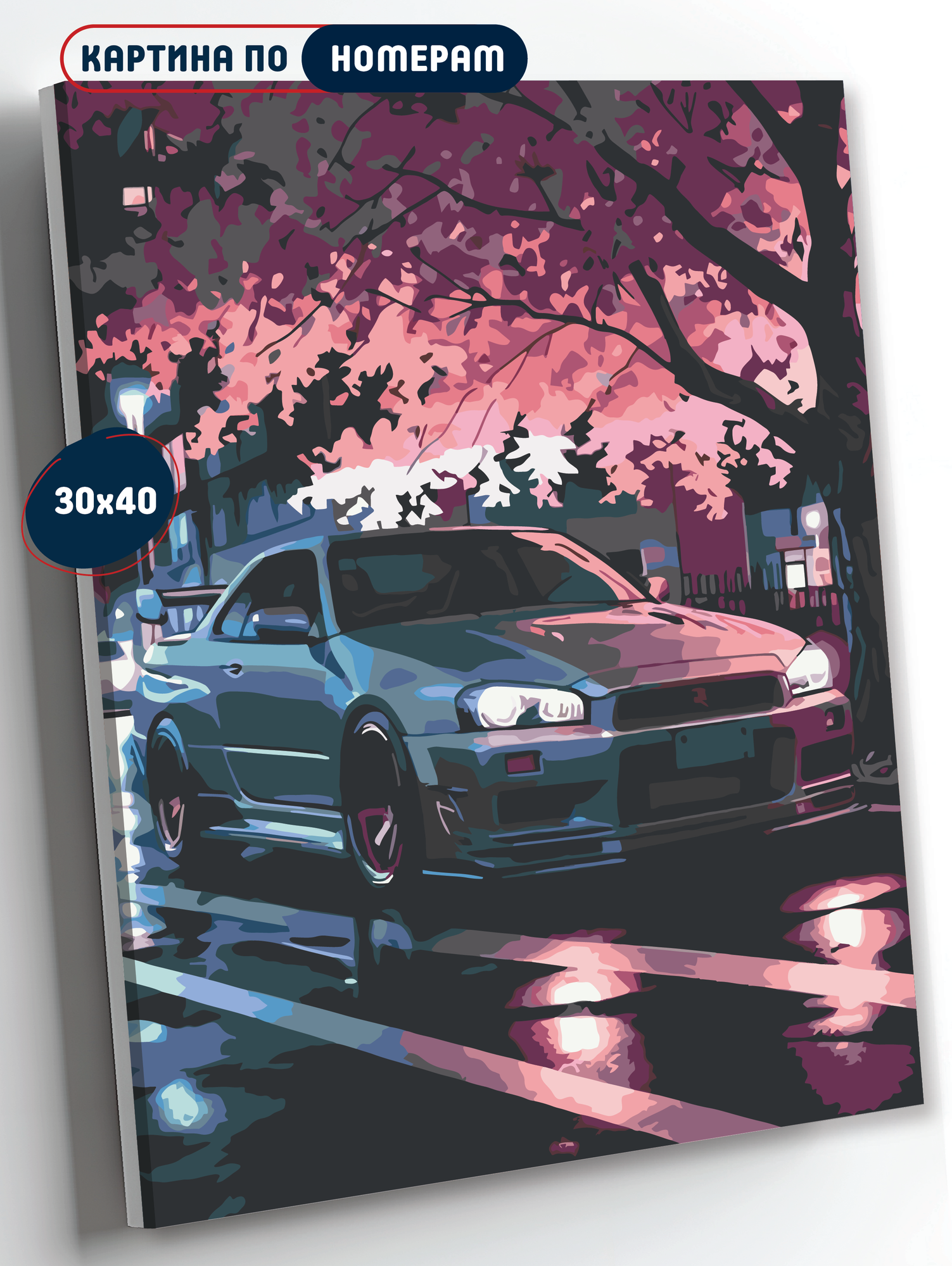 Картина по номерам " Nissan Skyline №5", Холст на подрамнике 30х40