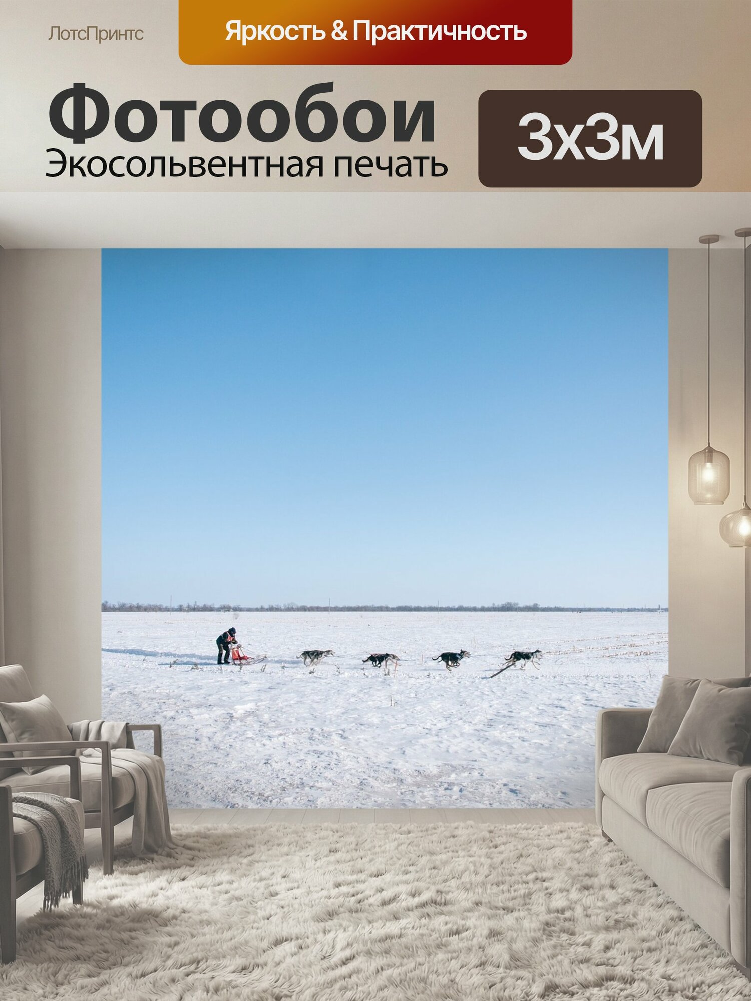 Фотообои "Собачьих упряжках, зима, собачий" 300x300 см. экосольвентная печать