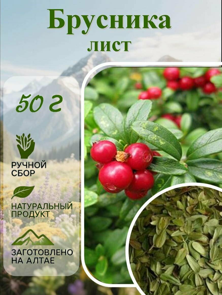 Брусника лист сушеный, противовоспалительное, 50 гр, АлтайМир