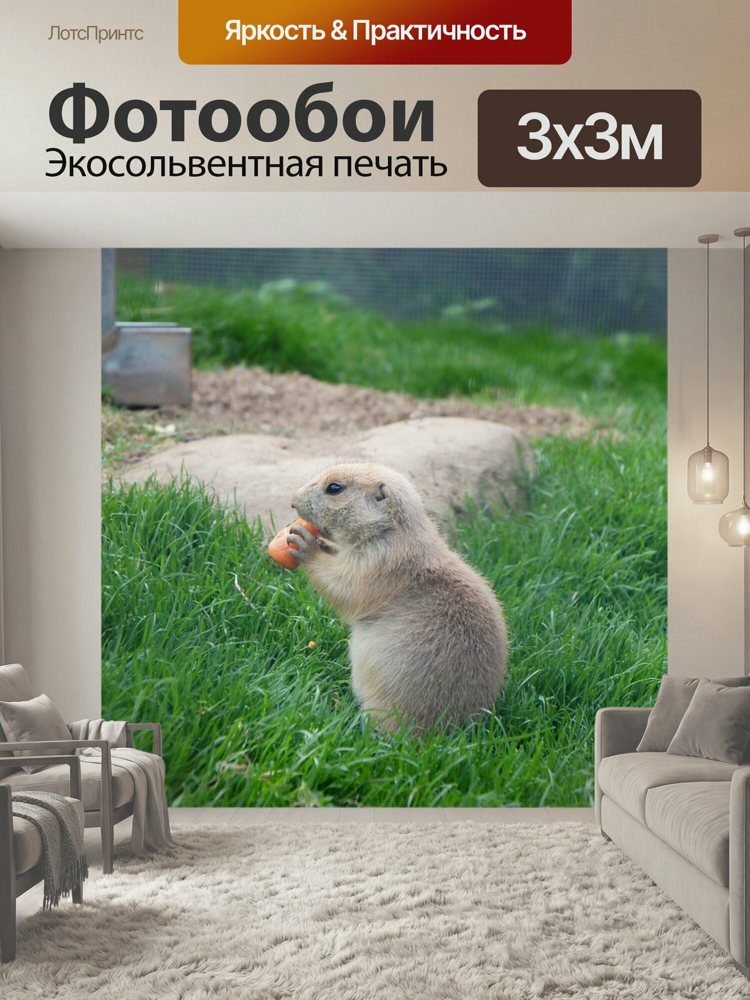 Фотообои "Луговые собачки, принимать пищу, детка" 300x300 см. экосольвентная печать