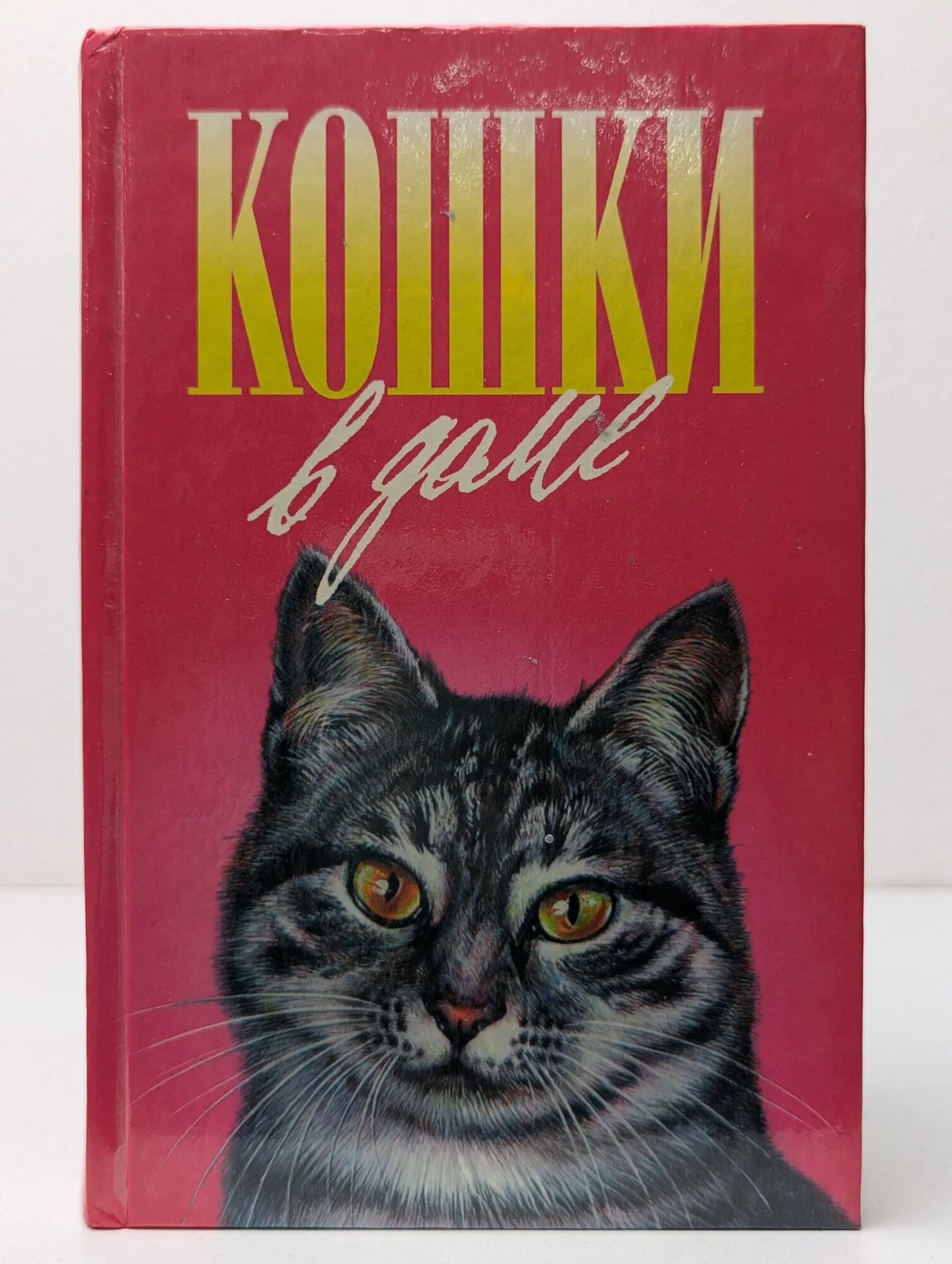Кошки в доме Тови Дорин, Романова Наталья Игоревна 1996