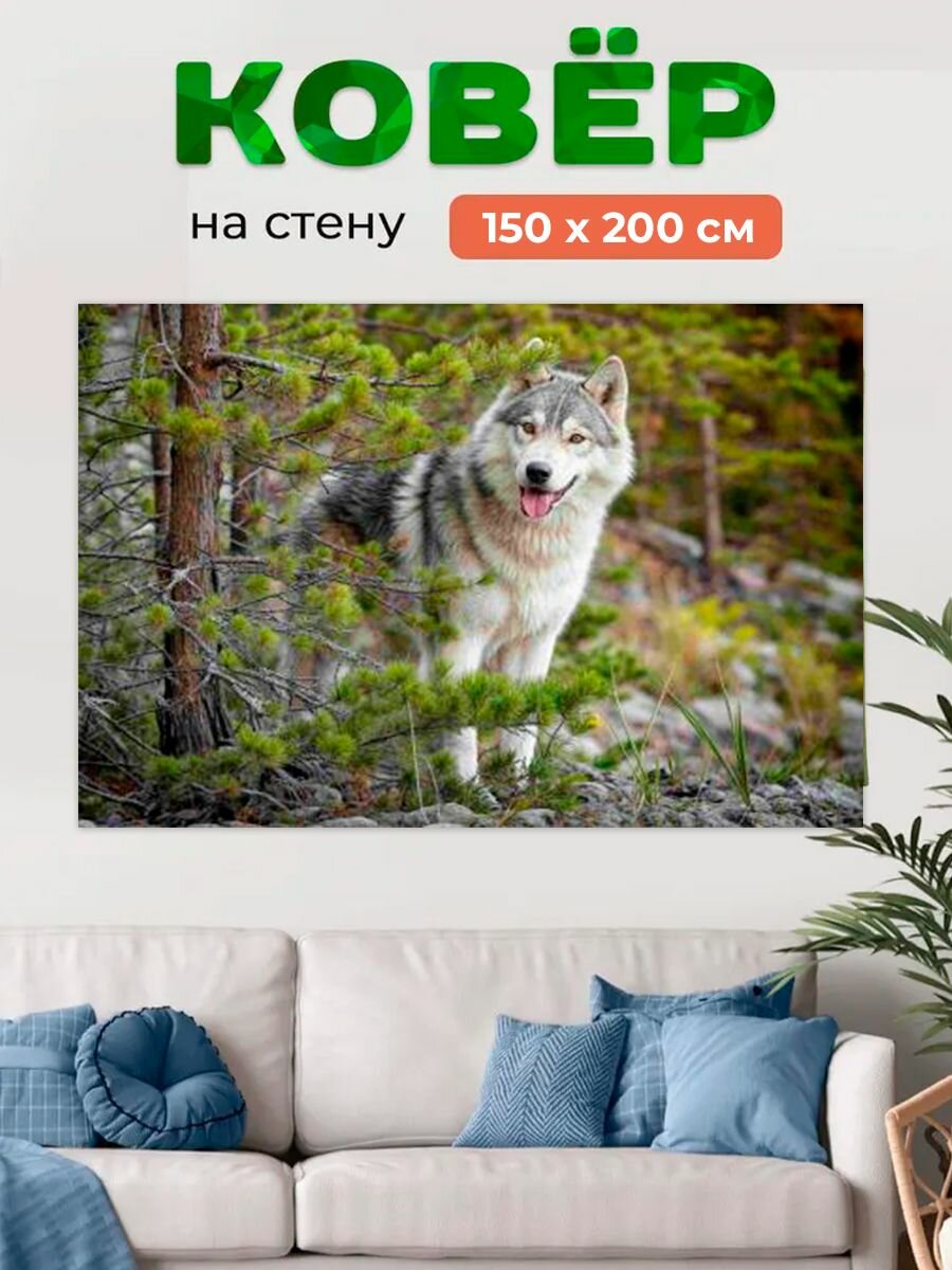 Ковер на стену волк 150x200 см, ковер-картина 402/PA/71