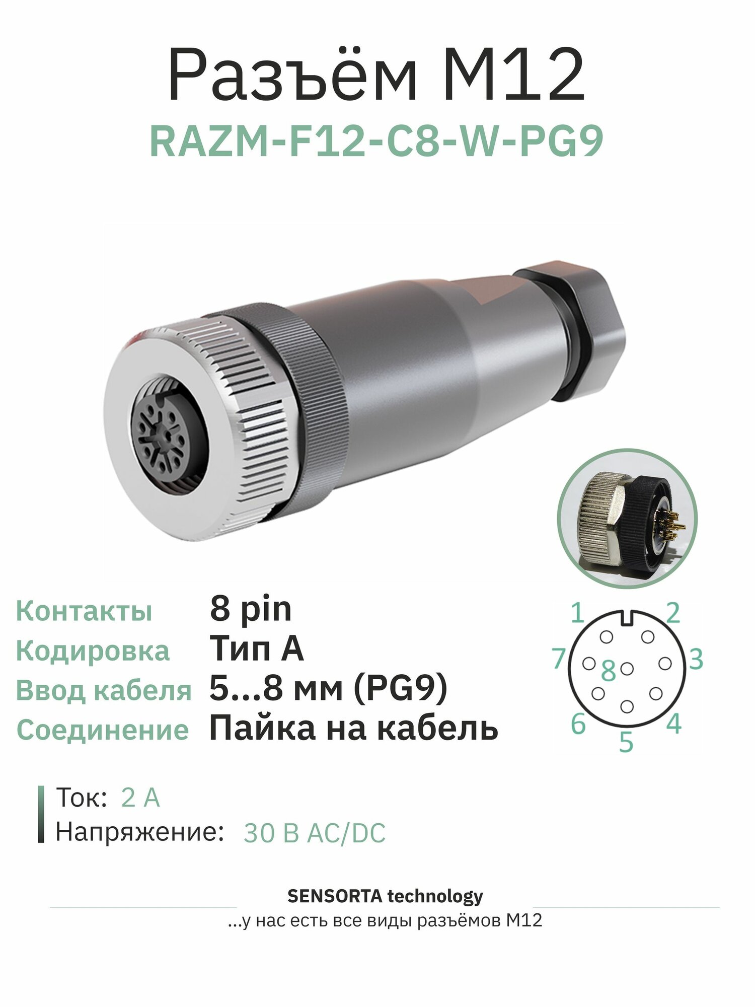 RAZM-F12-C8-W-PG9 разъём М12 8 pin прямой / розетка (мама) / PG9 (5-8 мм диаметр под кабель)
