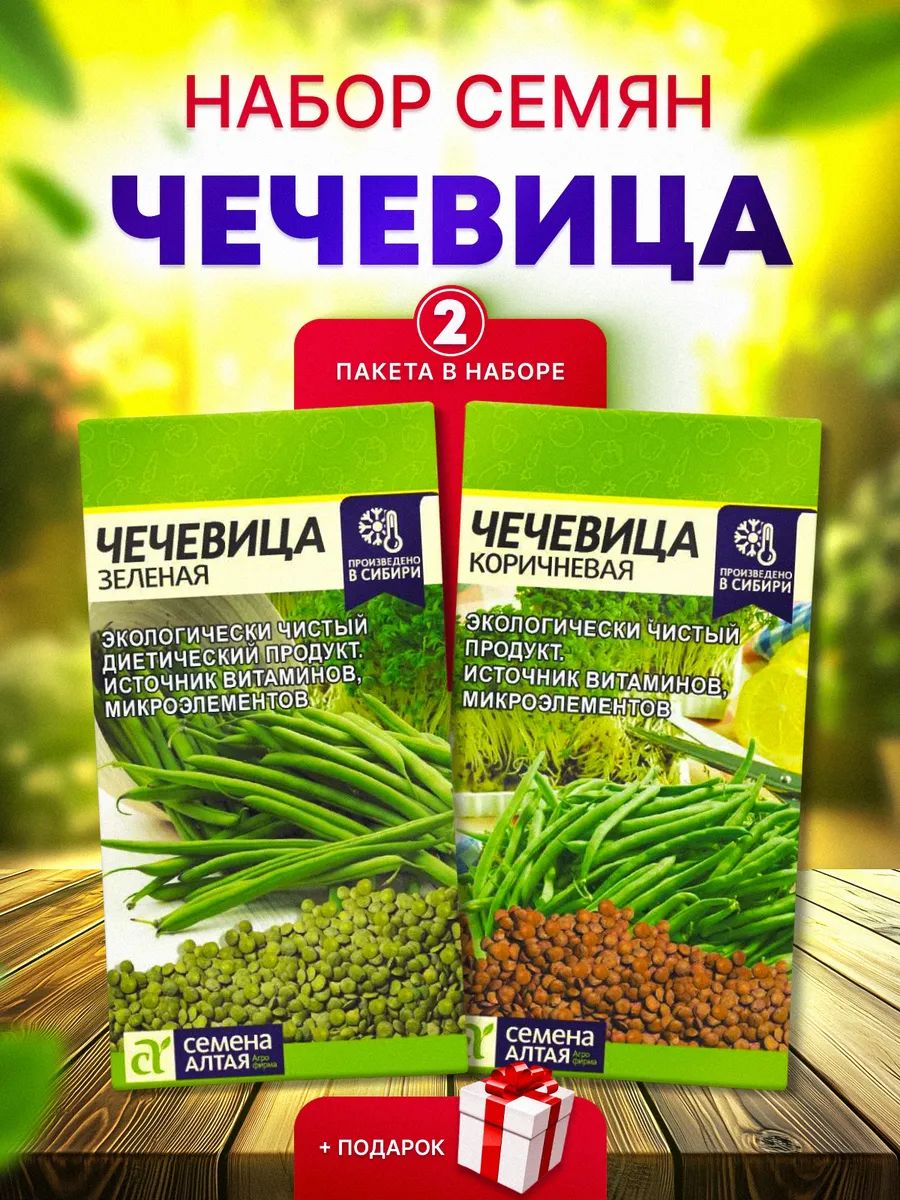 Набор семян Чечевицы: Зеленая, Коричневая