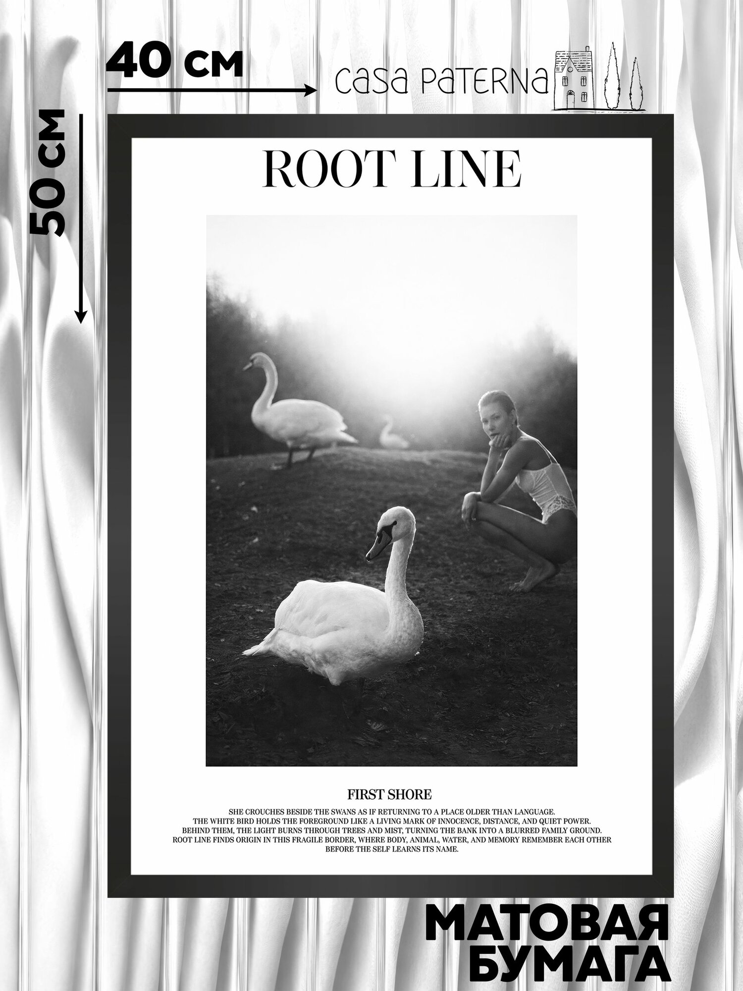 Постер на стену 40х50 Root Line #4, черно-белая фотография для интерьера, без рамки Casa Paterna