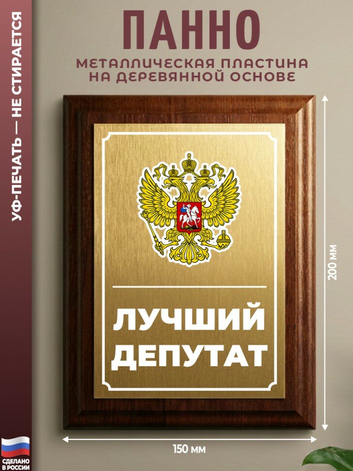 Настенный диплом "Лучший депутат"