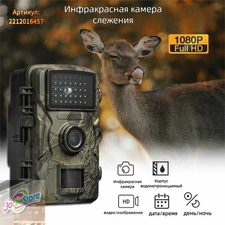 Фотоловушка
