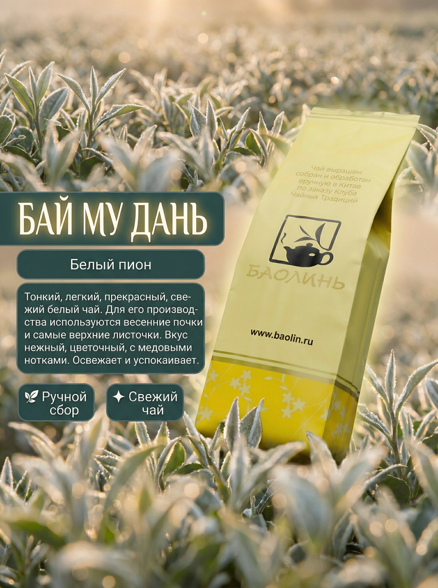 Чай белый. Белый пион (Бай Му Дань). 50 гр.