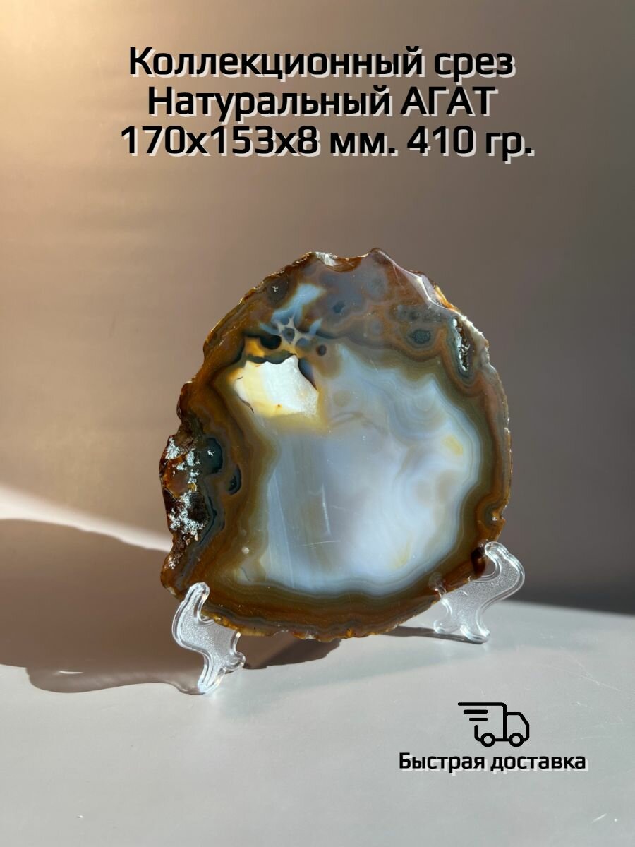 Коллекционный срез натурального камня Агат. 170х153х8 мм. 410 гр.