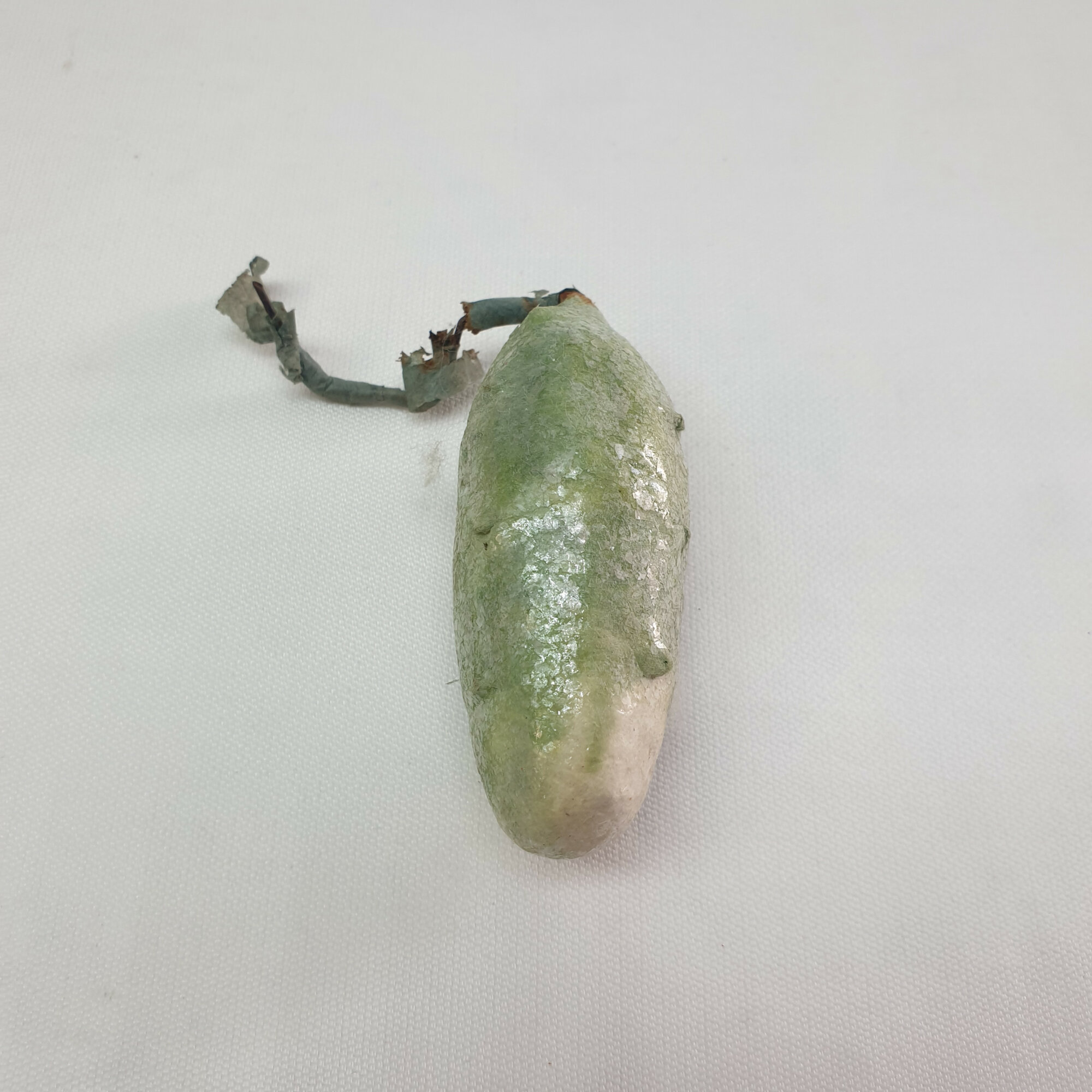 Винтажная елочная игрушка огурец 3х8, вата, роспись. СССР