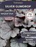 Гейхера Садовые Растения Silver Gumdrop, многолетник, высота 20см
