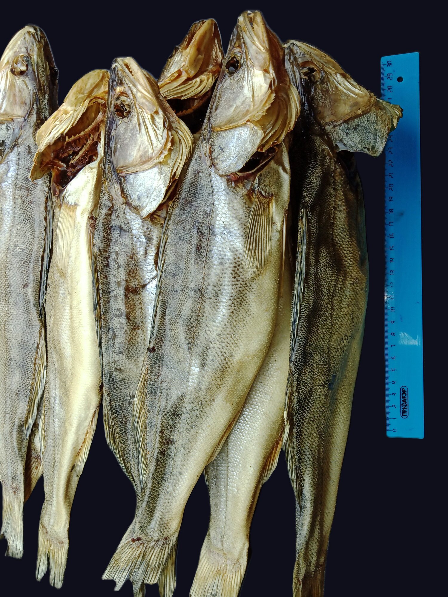 Судак "Золотистый" 800г вяленый с дымком