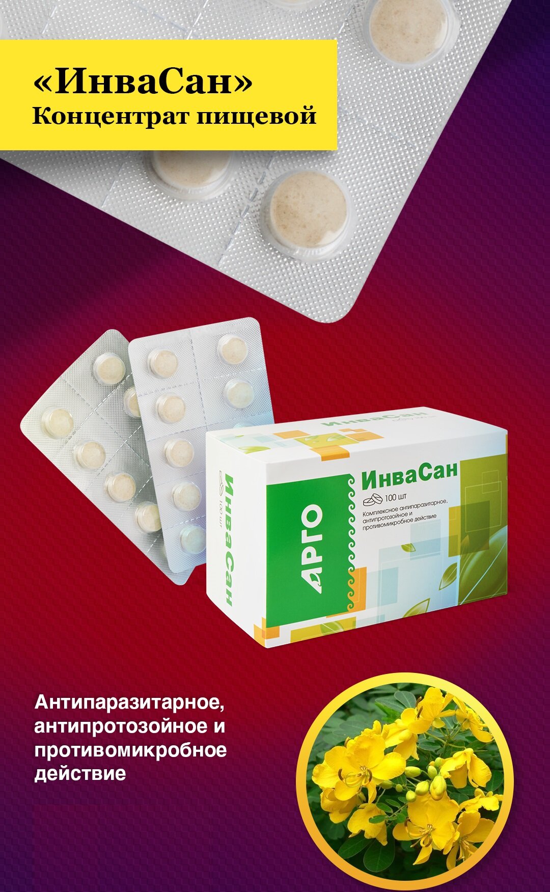 ИнваСан, таблетки антипаразитарного, антипротозойного, противомикробного действия, Апифарм