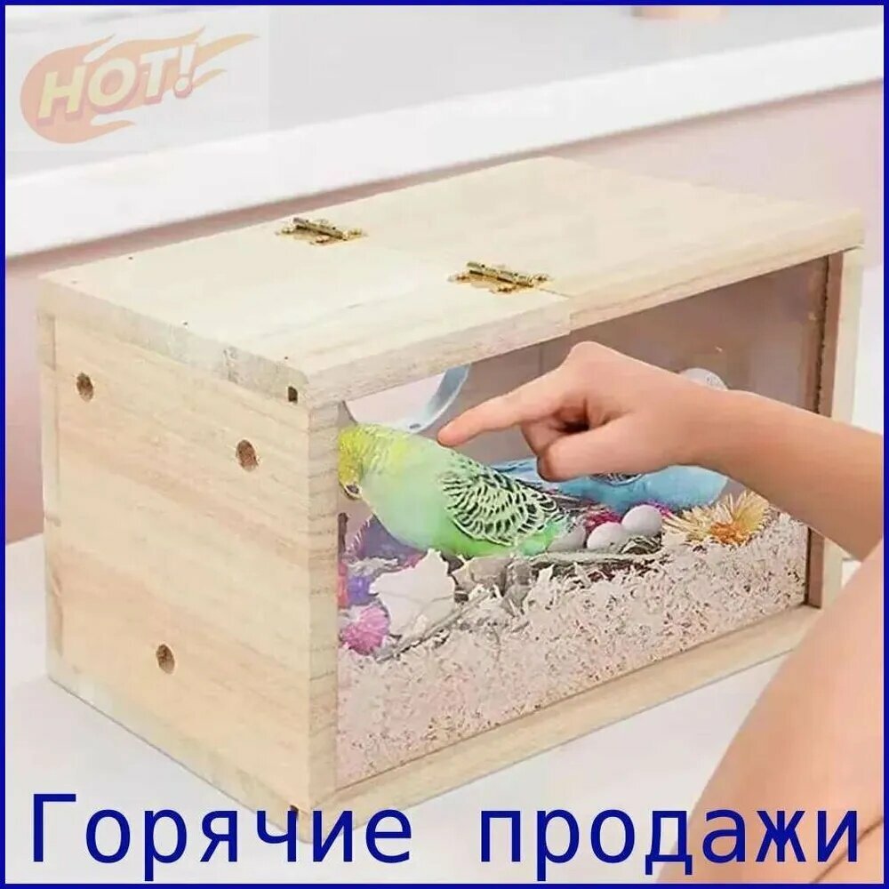 Прозрачный птичий домик из натурального дерева для попугаев-неразлучников