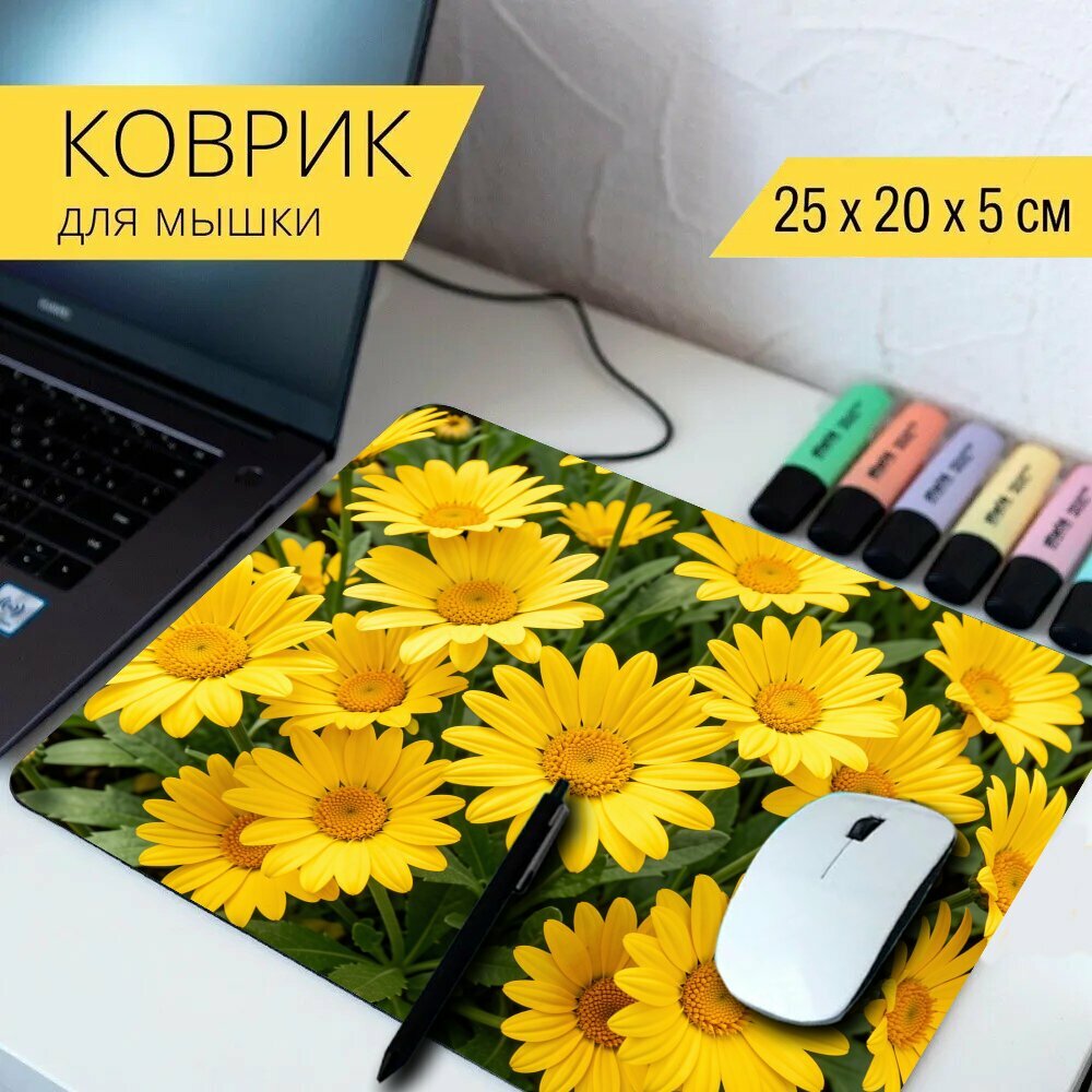 Коврик для мыши с принтом "Жёлтые ромашки в зелени. Яркие солнечные цветы с лепестками насыщенного жёлтого оттенка среди густой зелёной листвы, крупный план, природная." 25x20см.