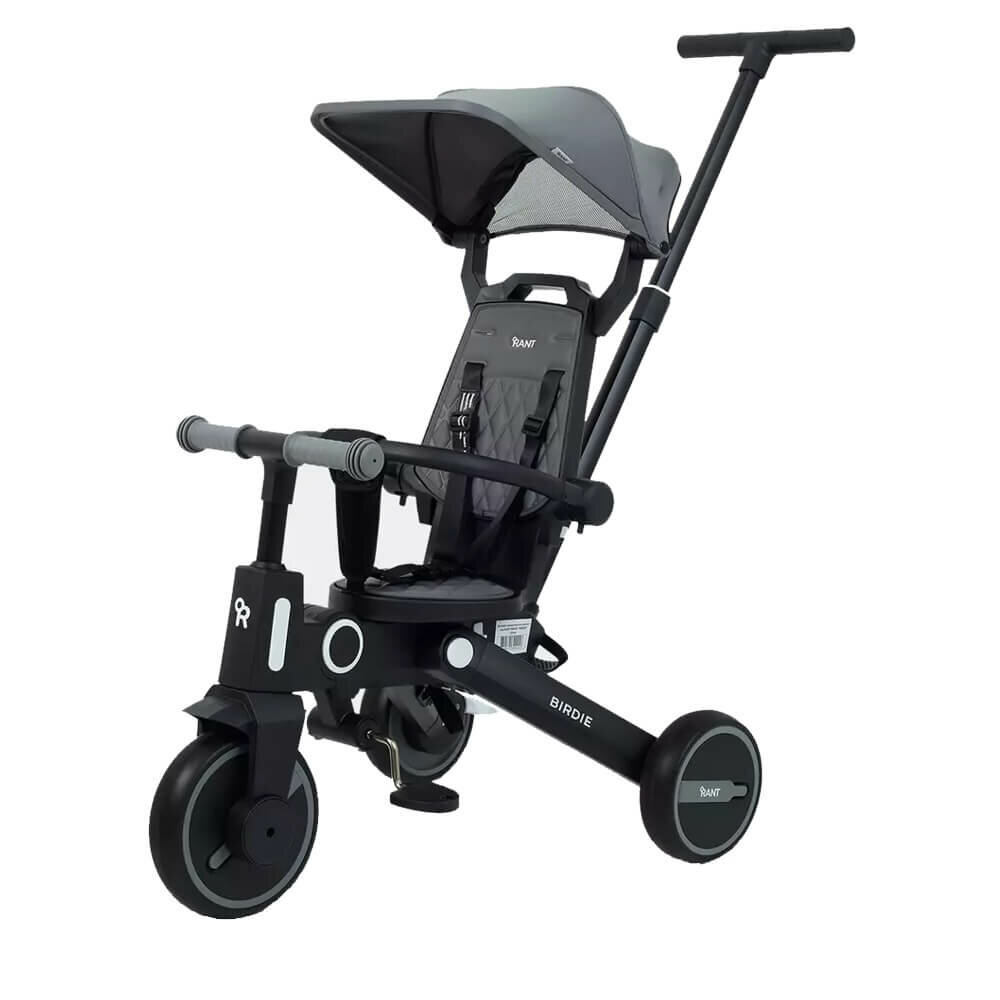 RANT Birdie RB202, детский трехколесный велосипед с 1,5 до 5 лет, цвет Grey