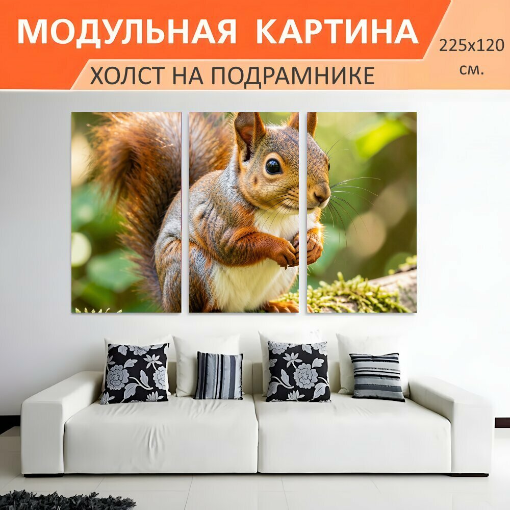 Модульная картина на холсте "Белочка, реалистичный стиль, детализированное рисование, яркие цвета" триптих на подрамнике 225х120 см. для интерьера