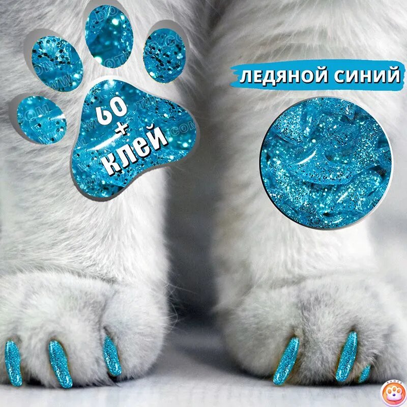 Антицарапки60 шт, колпачки на когти для кошек, колпачки защитные на ногти для кошек и котят, Мягкие коготки