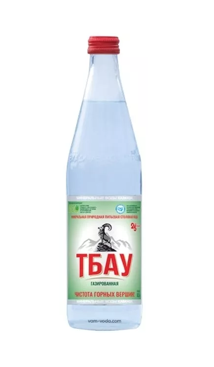 Вода питьевая природная Тбау 20 шт по 0,45 л с газом, стекло