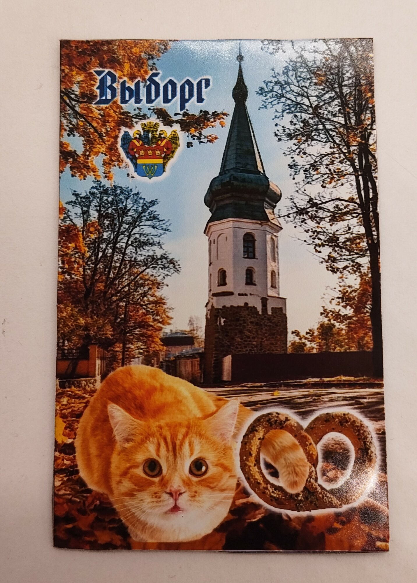 Коллекционный сувенирный виниловый магнит 62*100 мм, "Выборг. Осень. Часовая Башня.",