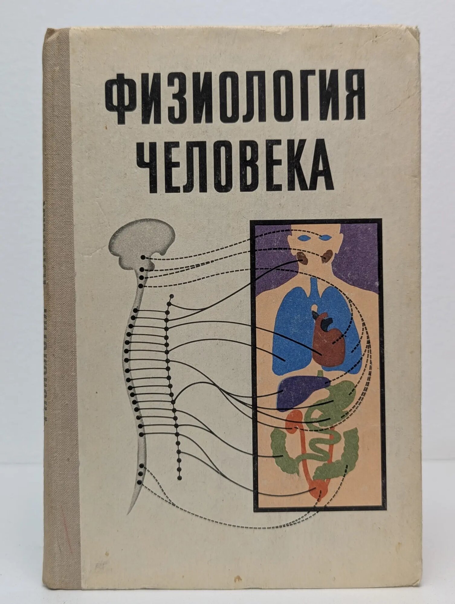 Физиология человека Хрипкова Антонина Георгиевна 1971