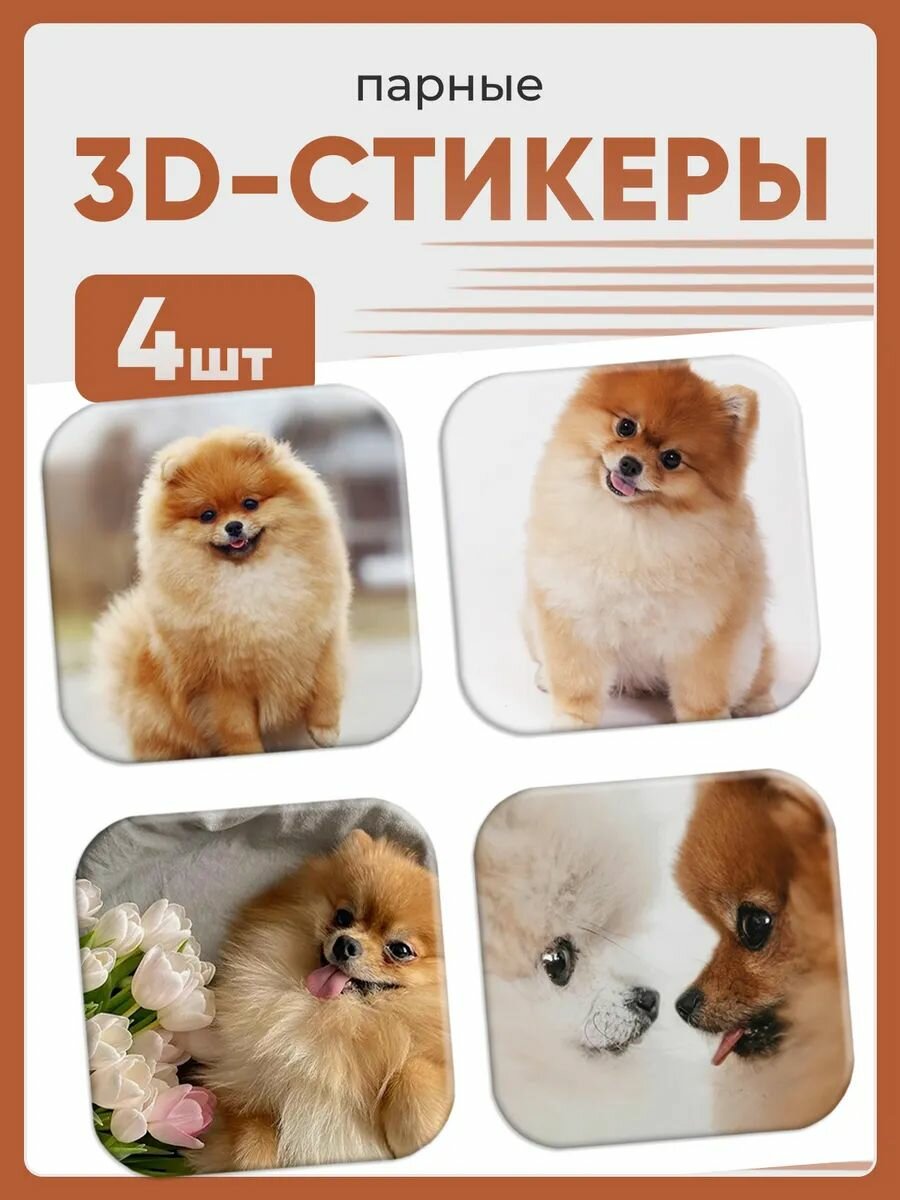 3D стикеры на телефон померанский шпиц