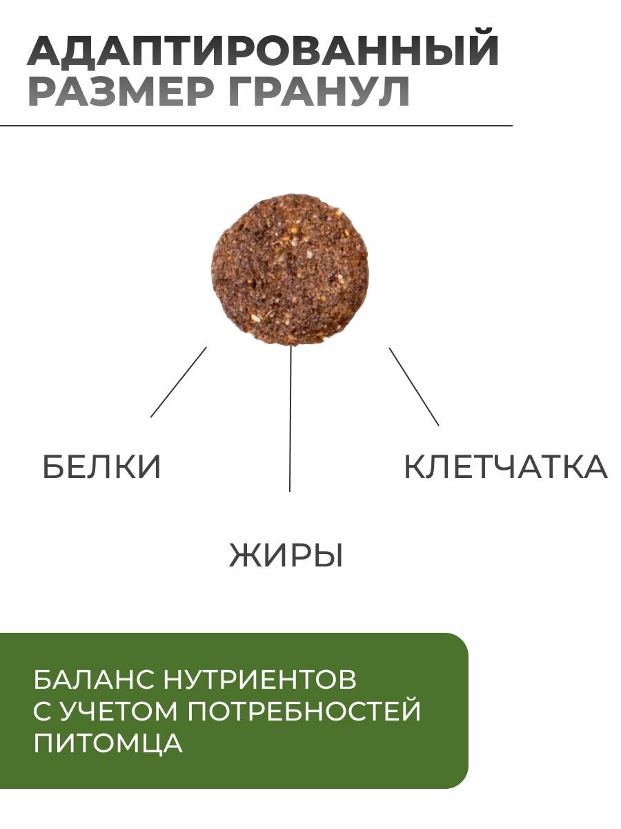 Корм сухой