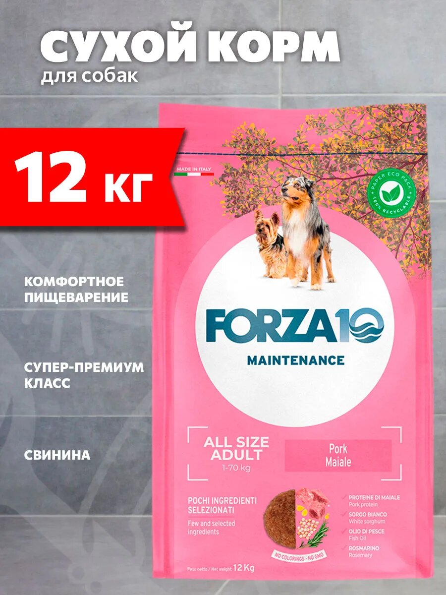 Корм сухой Forza10 Dog Maintenance Adult All Size для взрослых собак всех пород со свининой, 12 кг