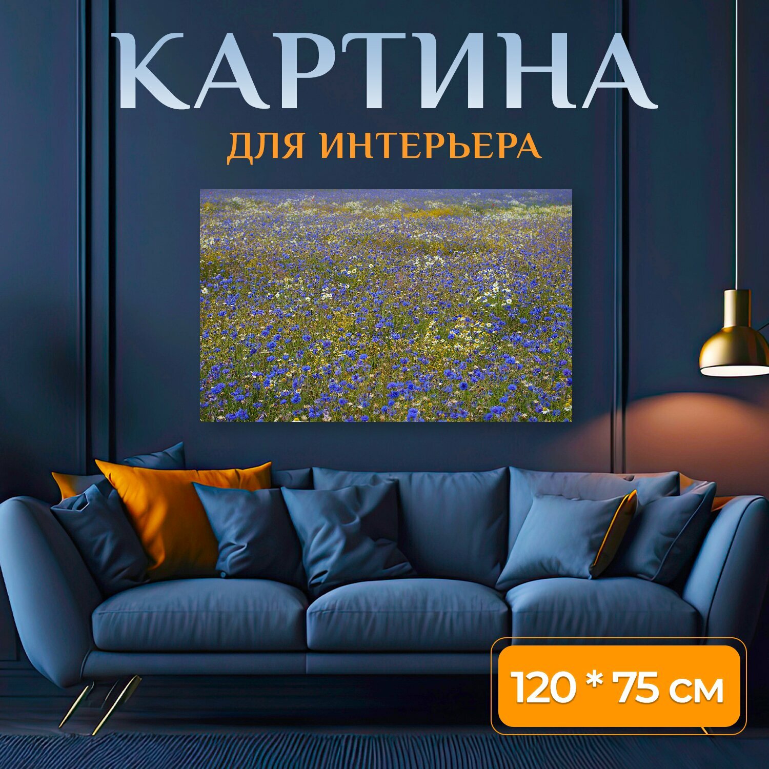 Картина на холсте "Васильки, васильковое поле, летом" на подрамнике 120х75 см. для интерьера
