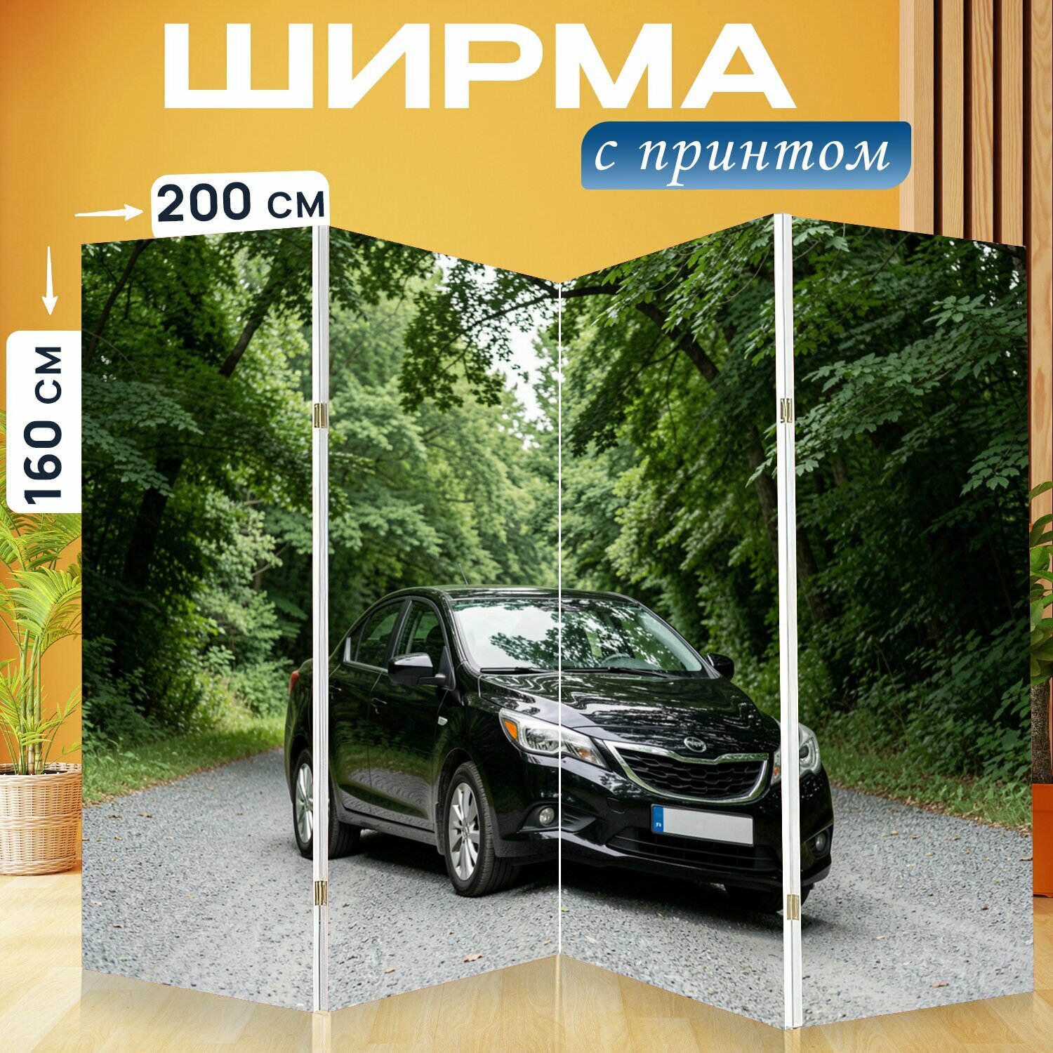 Ширма "Черный седан на лесной дороге. Темный легковой автомобиль на гравийном проселке среди густой зеленой." перегородка для зонирования комнаты с принтом 200x160 см. на холсте
