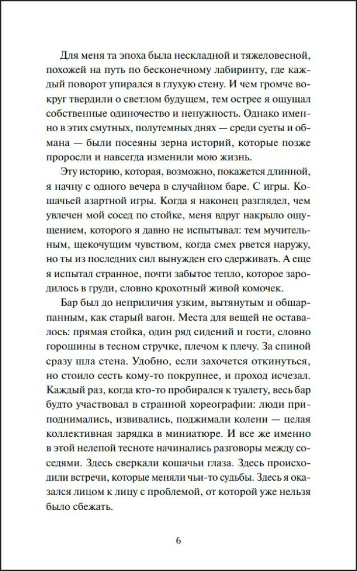 Коты Синдзюку — фото 1