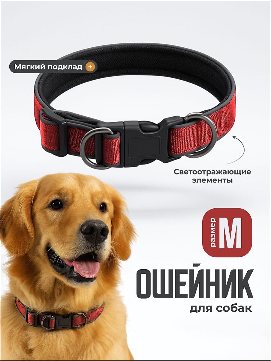 Ошейник для собак нейлоновый с мягкой подкладкой SSY, красный, размер M