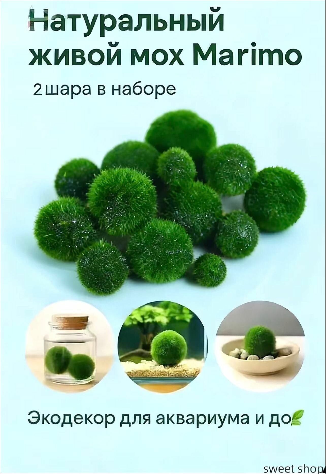 Шаровидная кладофора (мох маримо) 1см 2шт для аквариума и декора