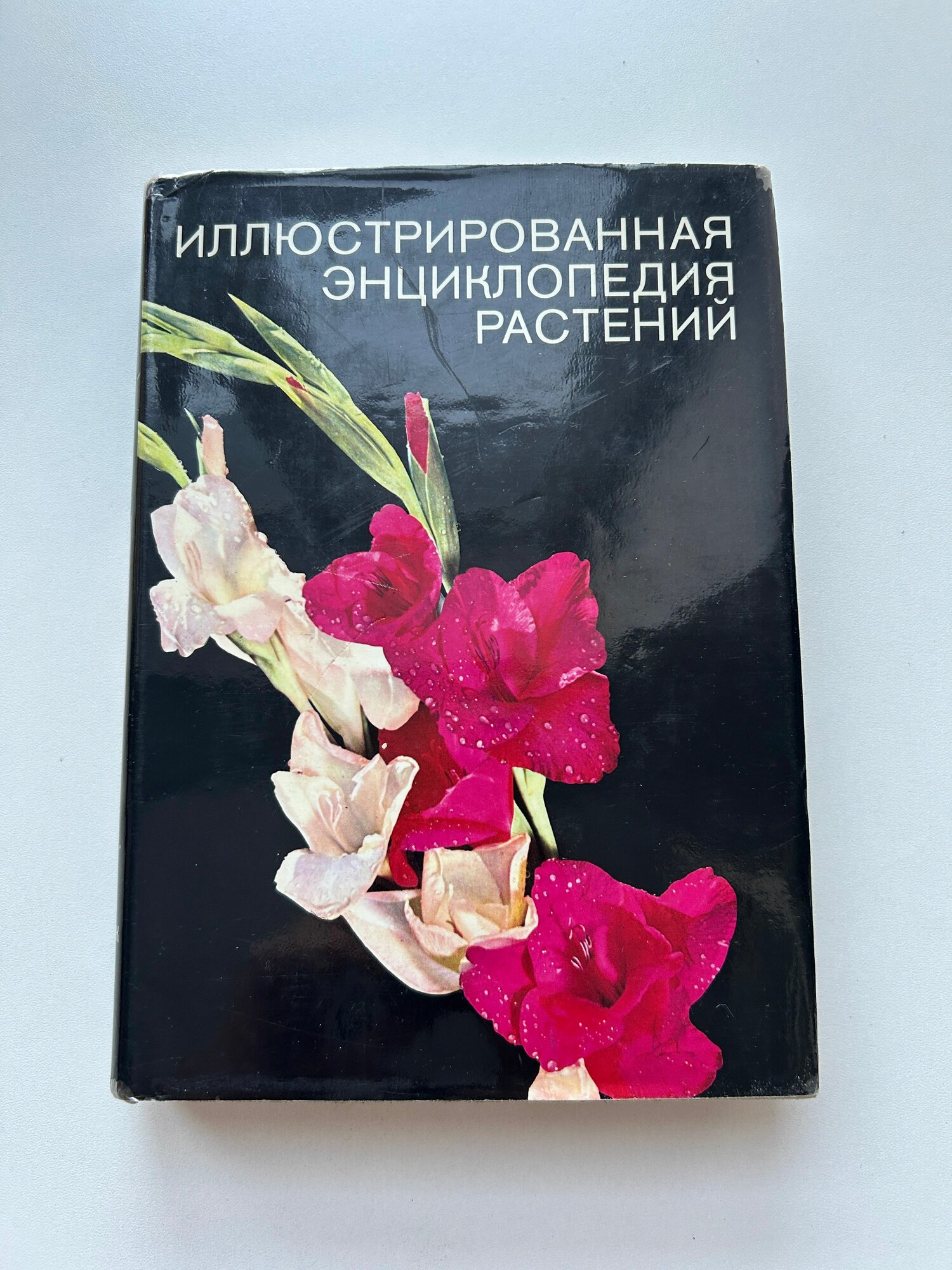 Книга Иллюстрированная энциклопедия растений". Издание 1976 года