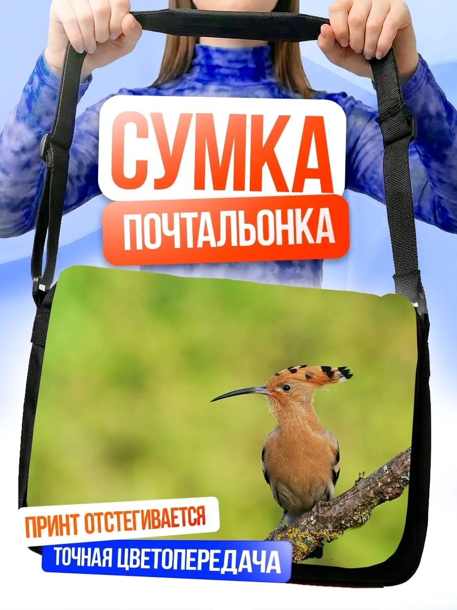Сумка Птица удод