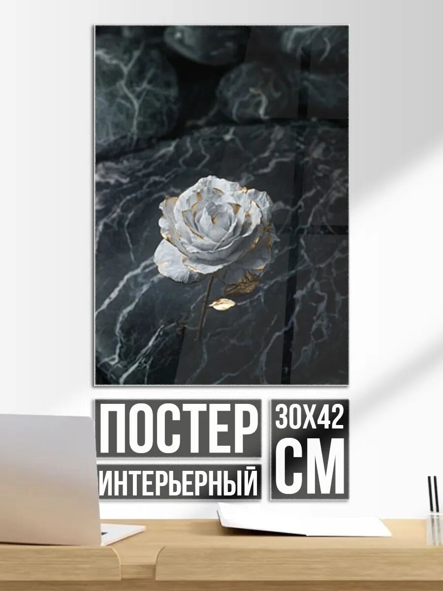 Постер на стену Белая мраморная роза на черных камнях