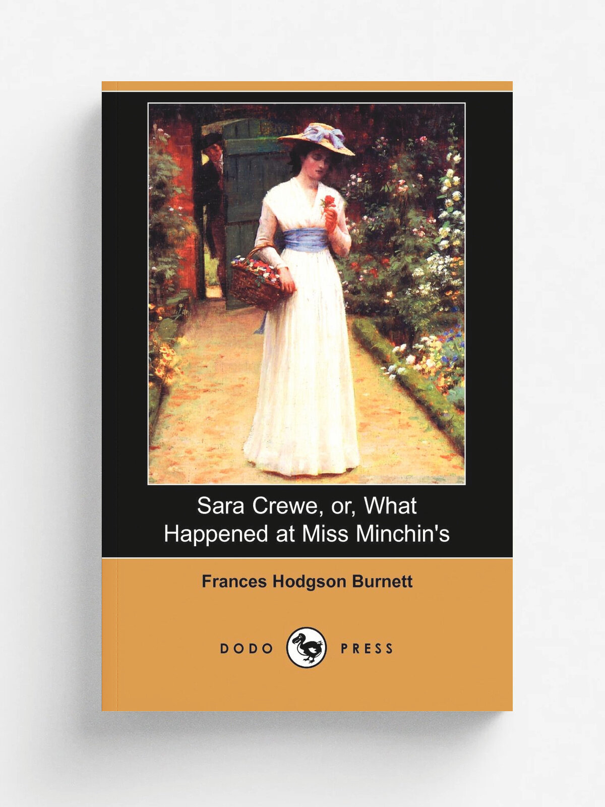 Sara Crewe, Or, What Happened at Miss Minchin's (Dodo Press)