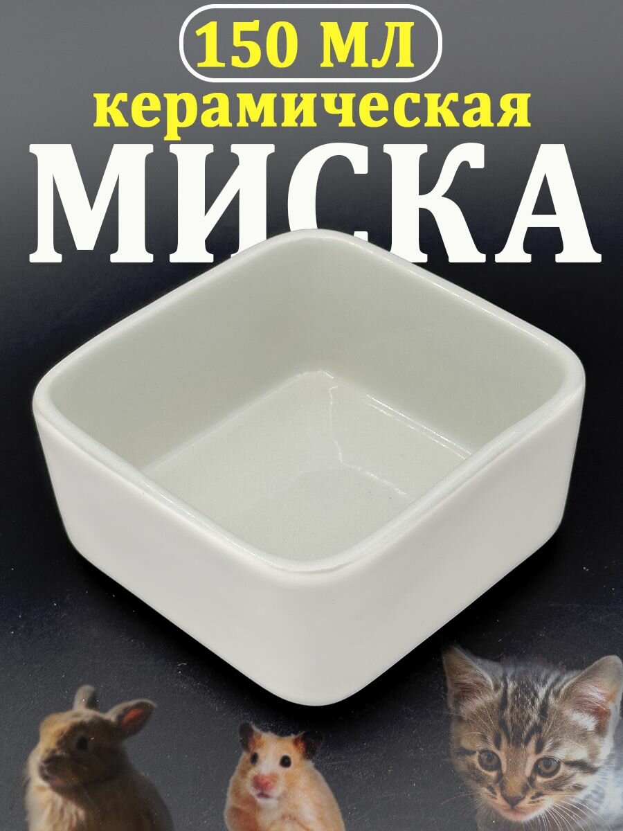 Миска керамическая для кошек, птиц, грызунов