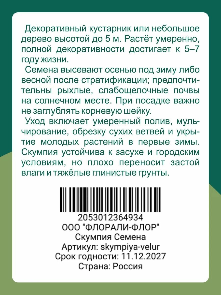 Скумпия Семена — фото 1