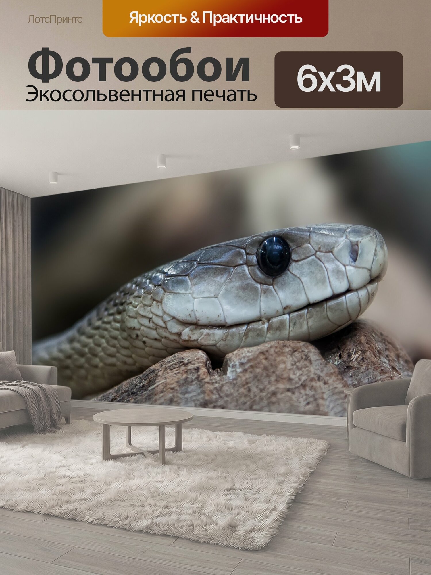 Фотообои "Мамба Viper Змея, ядовитая, опасный, террариум, гадюка, опасность, животное, тварь, подарок, погремушки, рептилии, гнев, яд змеи." 600x300 см. экосольвентная печать