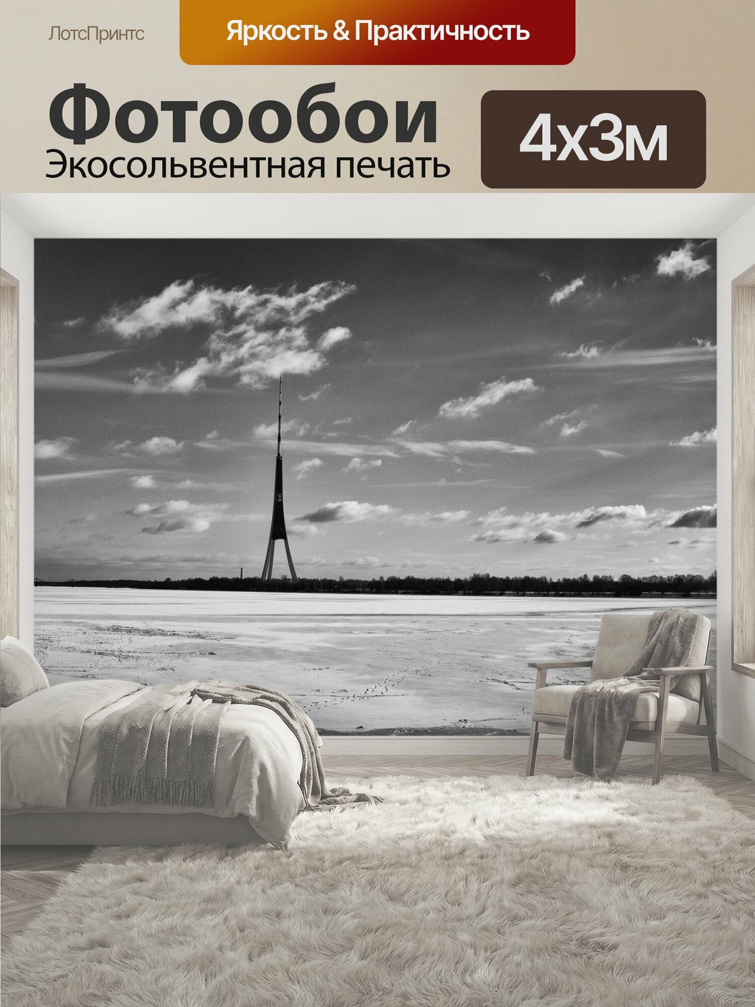 Фотообои "Телебашня Телебашня в Риге riga latvia tv tower cold snow river bw black white mood post card" 400x300 см. экосольвентная печать