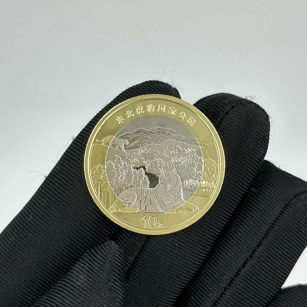 Монета Китай 10 юаней 2024 год Тигр Национальный парк тигров и леопардов Северо-Восточного Китая UNC
