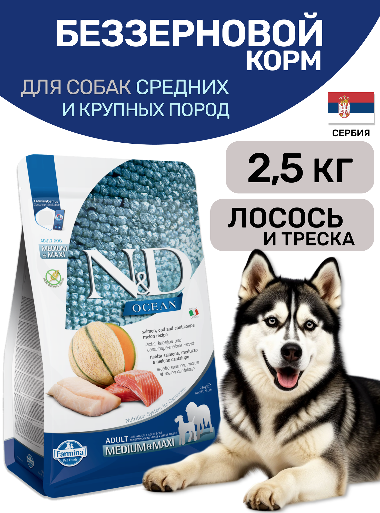 Сухой корм Farmina N&D Ocean лосось, треска, дыня для взрослых собак средних и крупных пород, 2,5кг