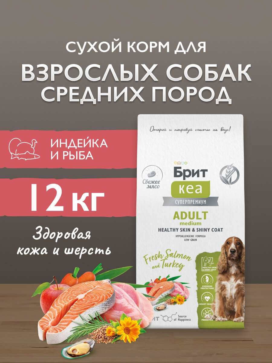 Сухой корм для собак средних пород супер-премиум с лососем и индейкой 12 кг BRIT CARE